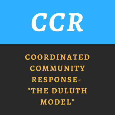 Training and Conferences Archives - Domestic Abuse Intervention Programs