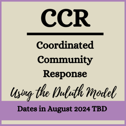 Home Page - Domestic Abuse Intervention Programs