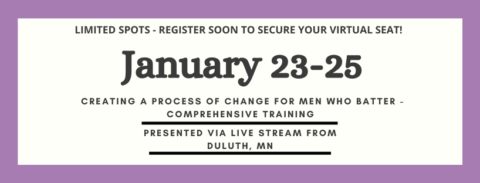 Home Page - Domestic Abuse Intervention Programs