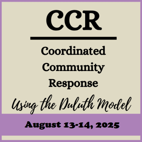 Home Page - Domestic Abuse Intervention Programs