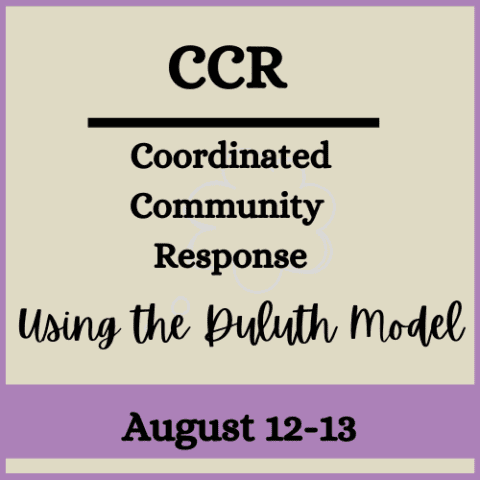 Home Page - Domestic Abuse Intervention Programs